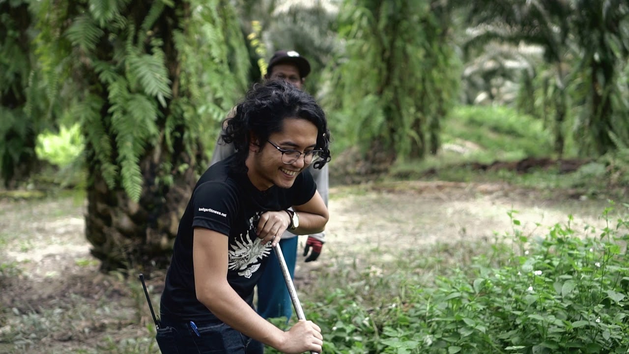 Work - Zael Creatives